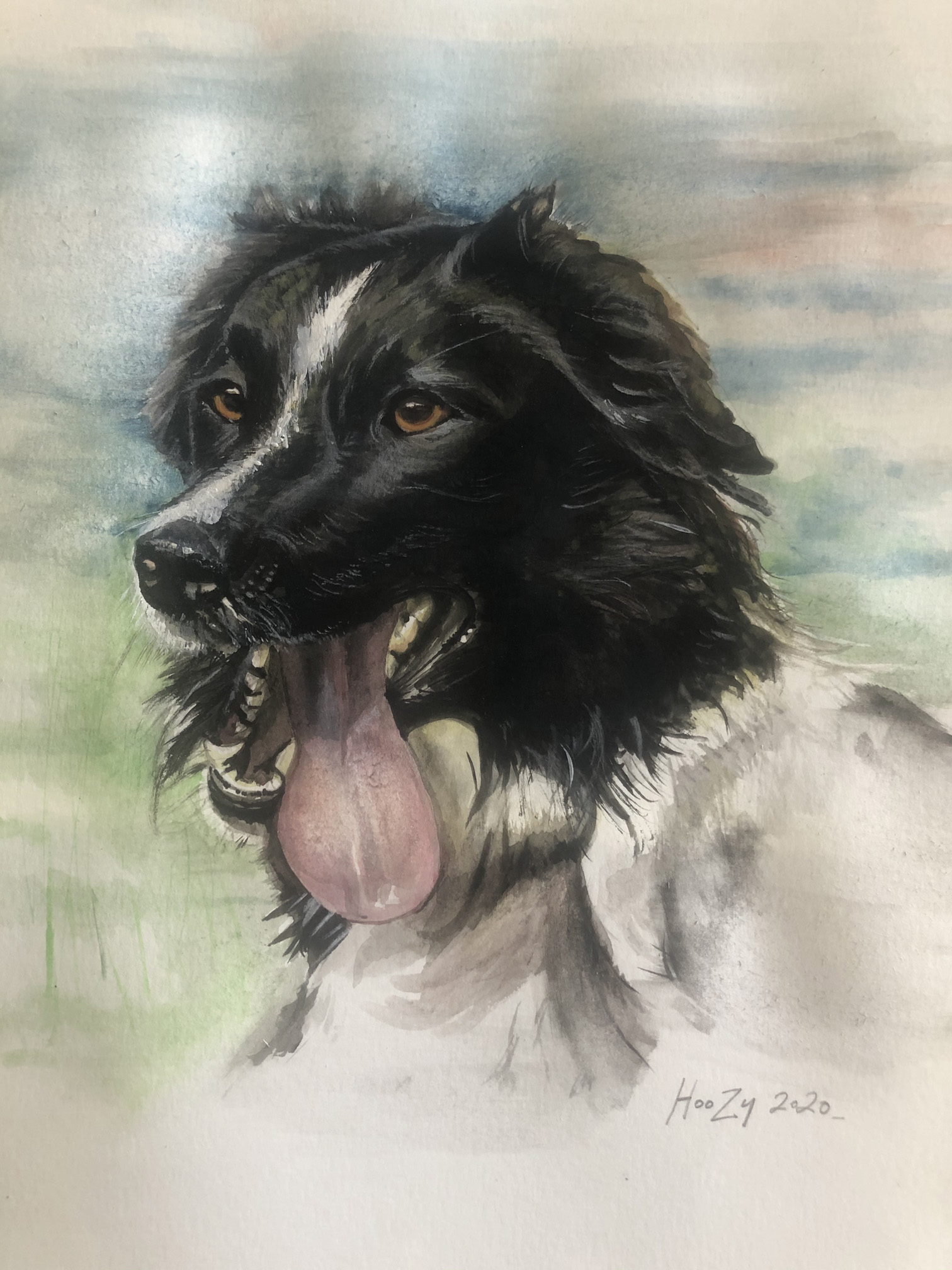 Hoozy the Collie - Tracey Larkin Design
