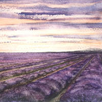 Sunset Over Lavender Fields - Tracey Larkin Design